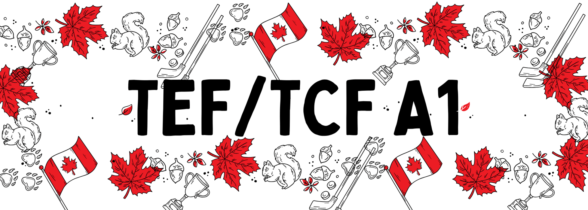 Complete Beginner (0) to TEF/TCF – Learn French With Anks